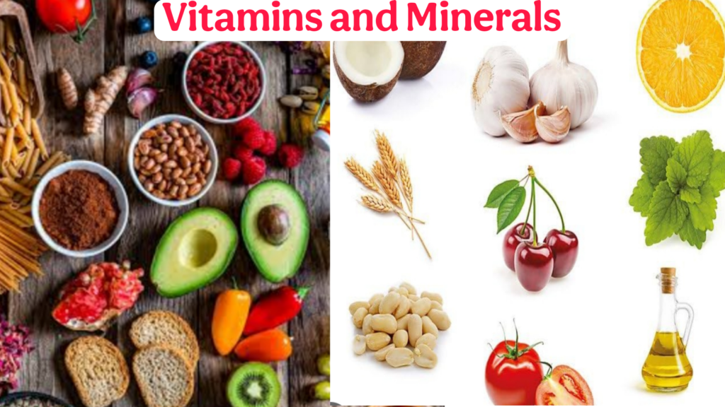Vitamins and Minerals: Essentials for a Healthy Daily Life — GS India ...